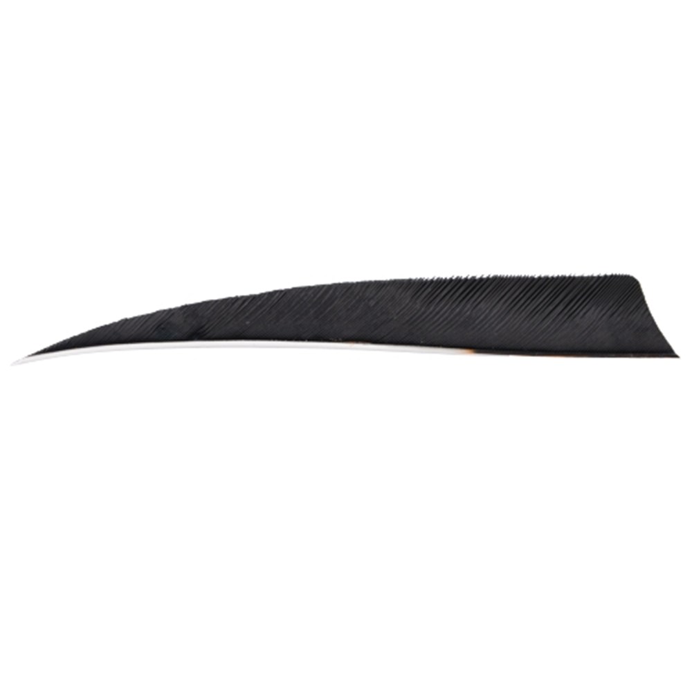 Bearpaw Feather Shield Solid RW 5 Inch | DutchBowStore.com