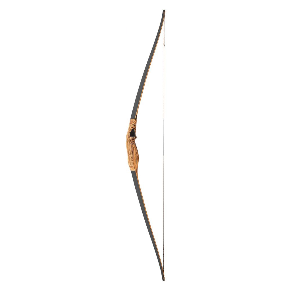 Compound Recurve Bow Hybrid