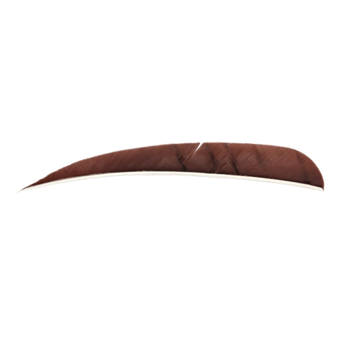 Bearpaw Feather Parabolic Solid RW 3 Inch | DutchBowStore.com