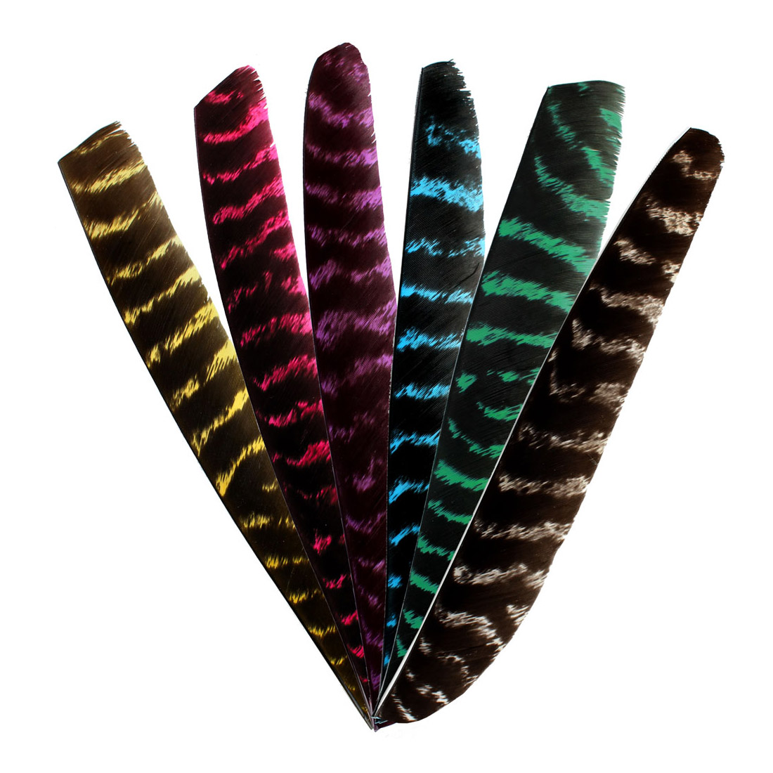 Bearpaw Natural Barred RW Full Length Feather | DutchBowStore.com