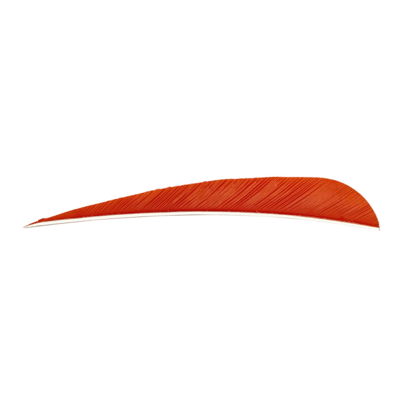 Gateway Parabolic Solid RW 5 inch | DutchBowStore.com
